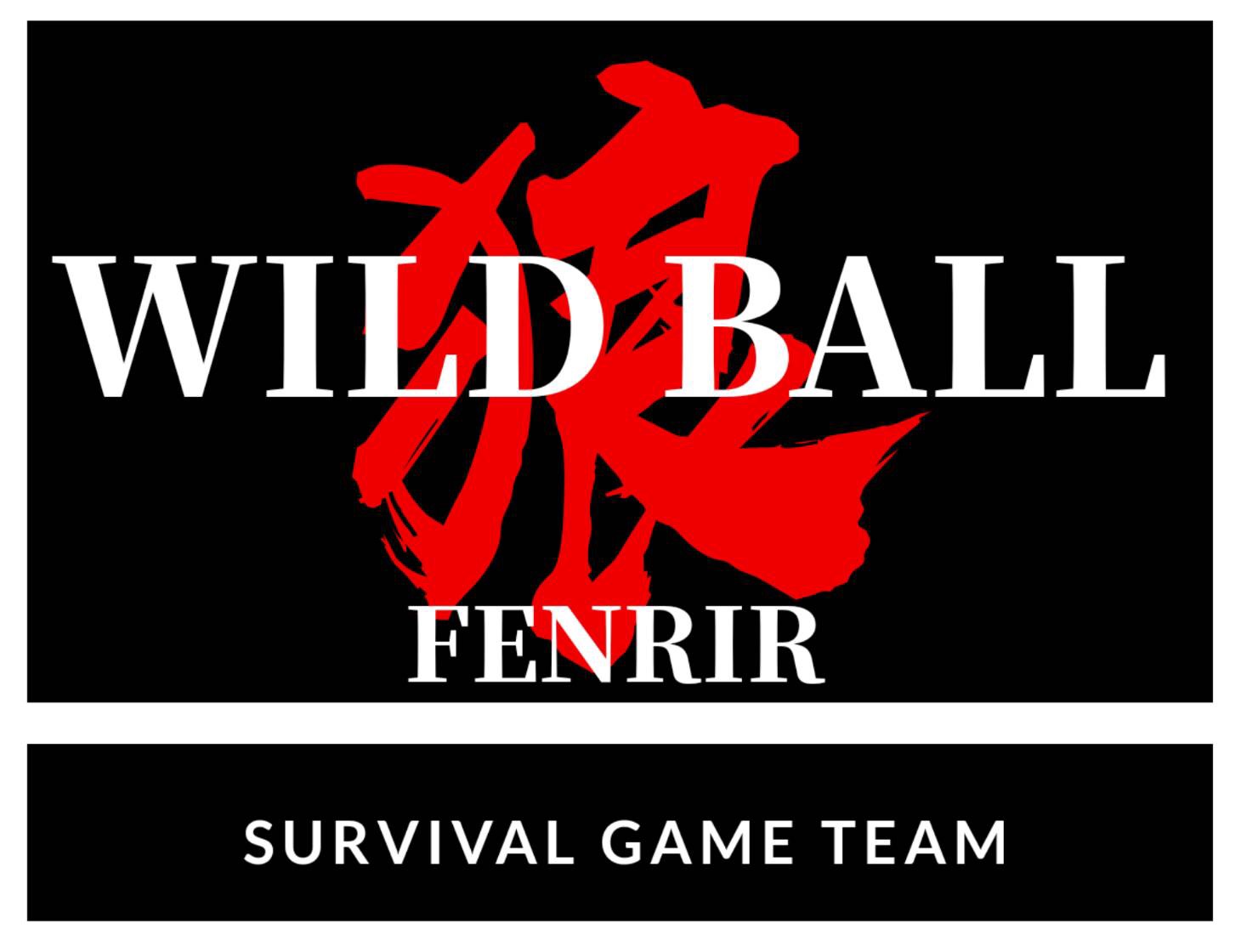 代表挨拶 | WILD BALL